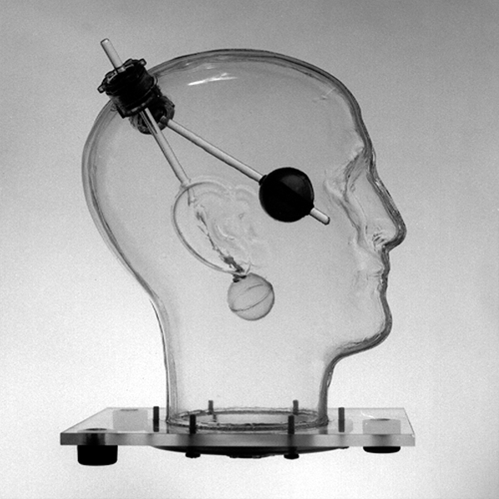 The Liqui-Phil™ Head Phantom – 北京怡普信科技有限公司